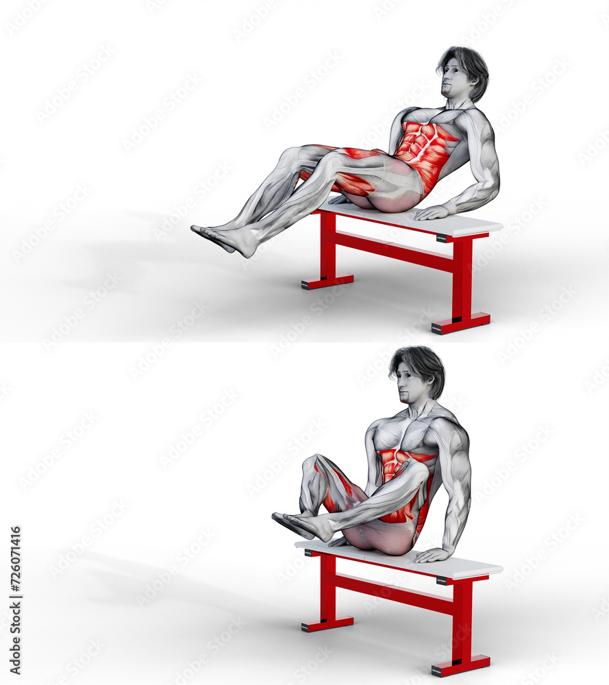 874 Sitting Frog Crunch. 3D Anatomy of fitness and bodybuilding. An ...