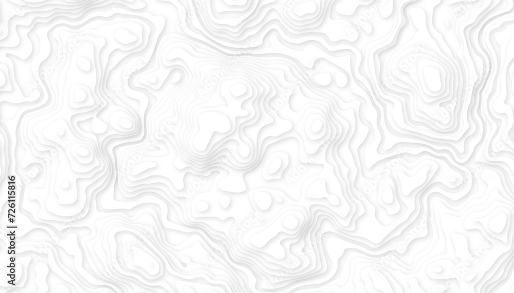 Abstract wavy line 3d paper cut white background. Topographic canyon ...