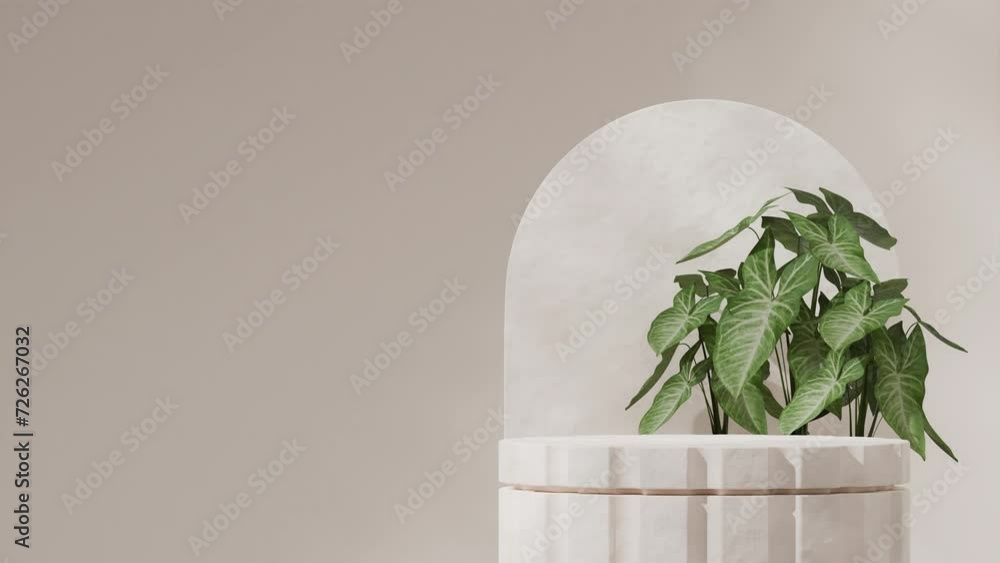 seamless shadow animation looping with green leaf plant and arch ...