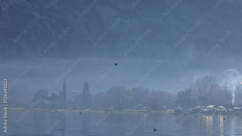 Birds in Balkan old town sunset, view historic city Montenegro, Croatia ...