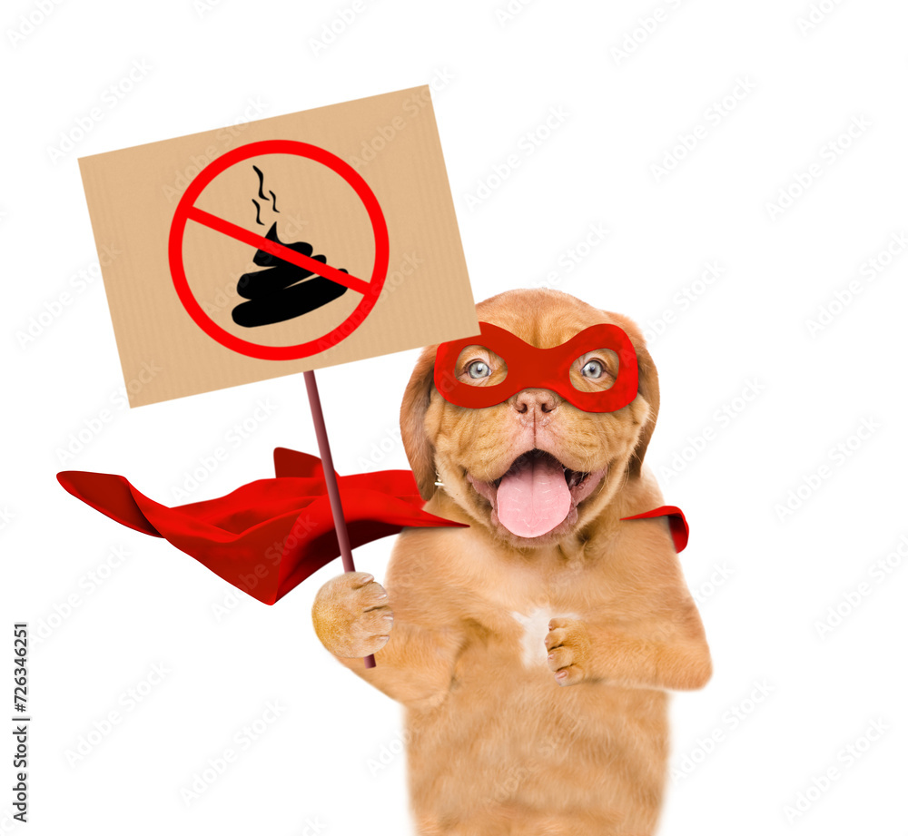 Funny Mastiff puppy wearing superhero costume holds sign "no dog poop ...