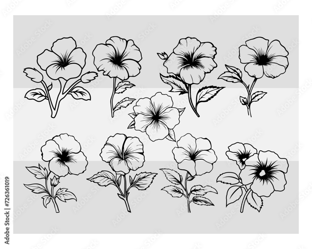 Petunia Outline SVG Bundle, Petunia Silhouette, Petunia Flower, Petunia ...