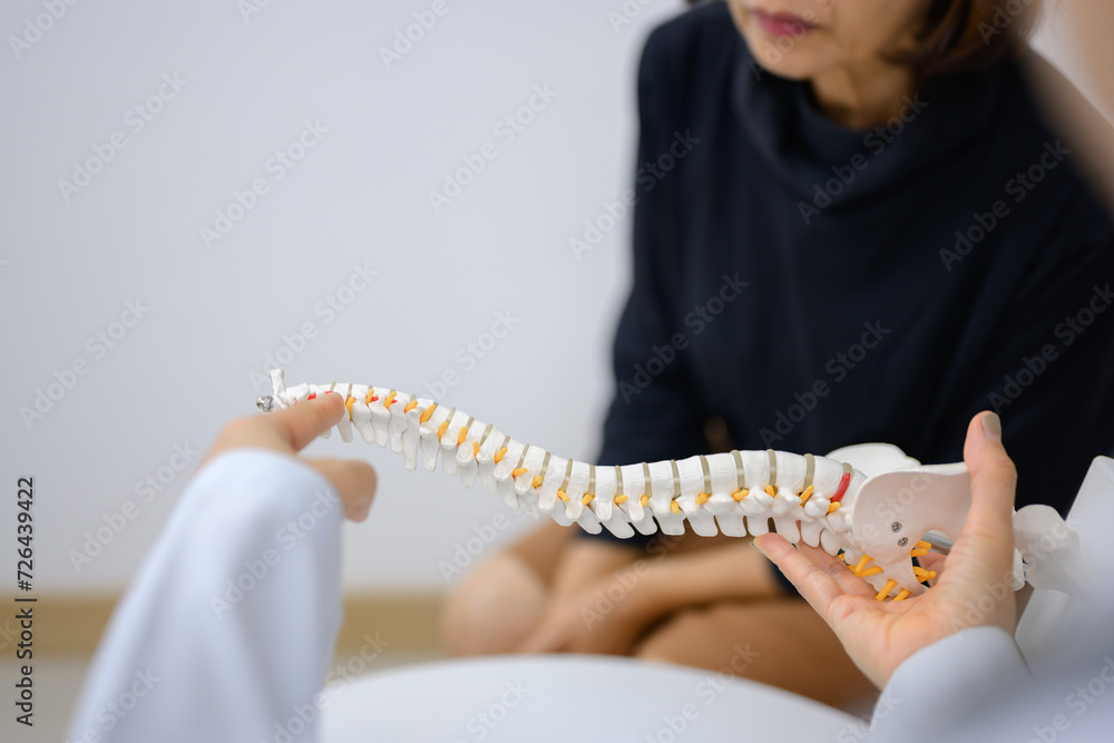 An orthopedic surgeon or therapist is showing a spinal model and ...