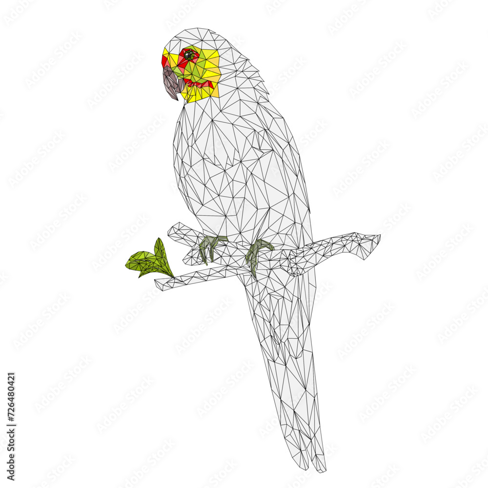 Parrot in Yellow bird Indian Ringneck Parrot alexander outline low ...