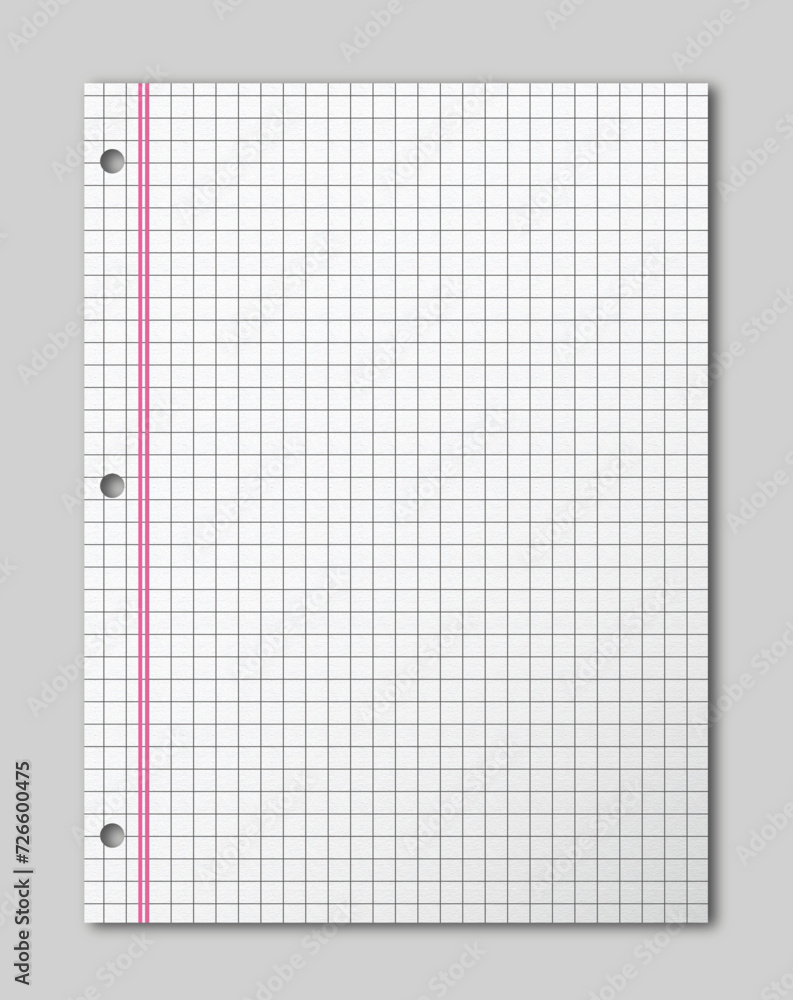 Hoja de papel para carpeta cuadriculada o cuaderno. escolar vectorial ...