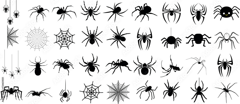 Spider vector illustration, collection of different spider types ...