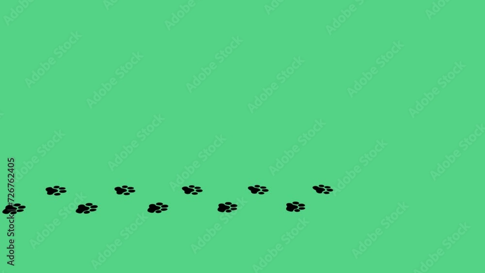 Paw Footstep walking in a straight line from different sides on green ...