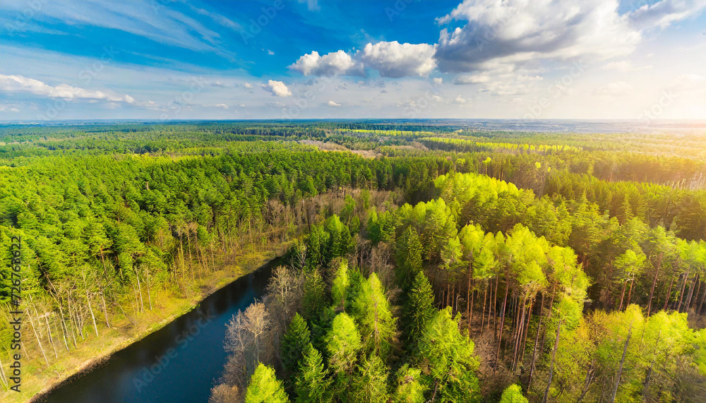 Aerial viev green forest on a spring day, natural background. Photo ...