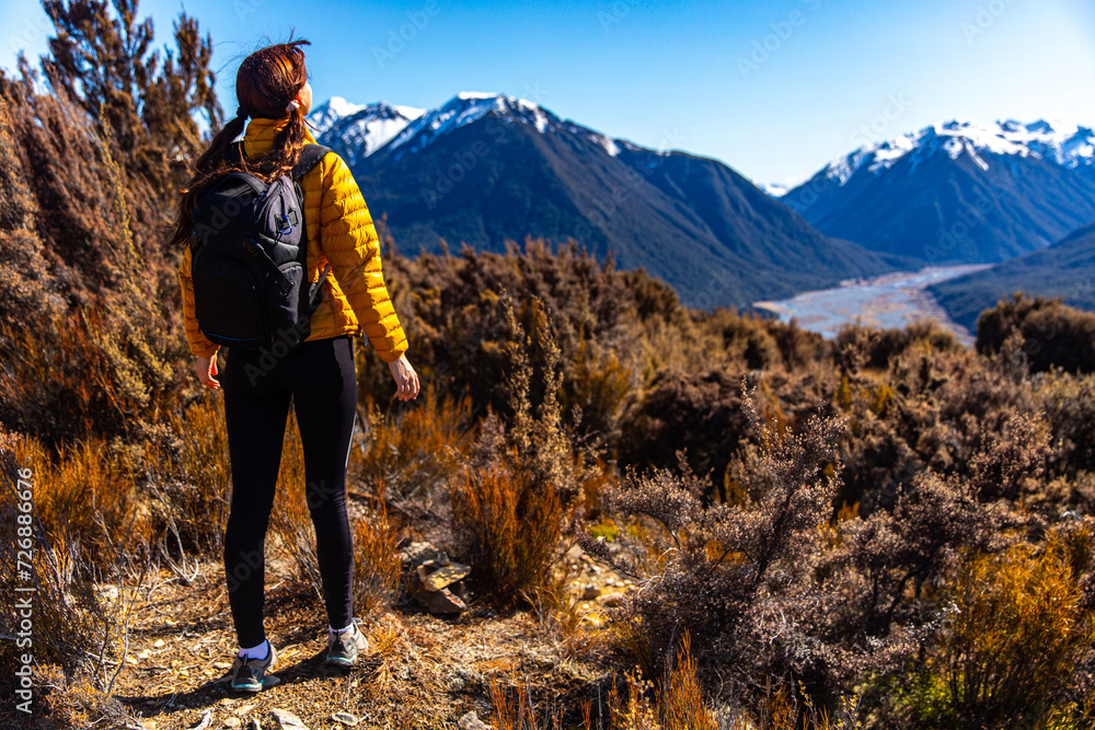 hiker girl walking on a bealey spur track in arthur's pass national ...