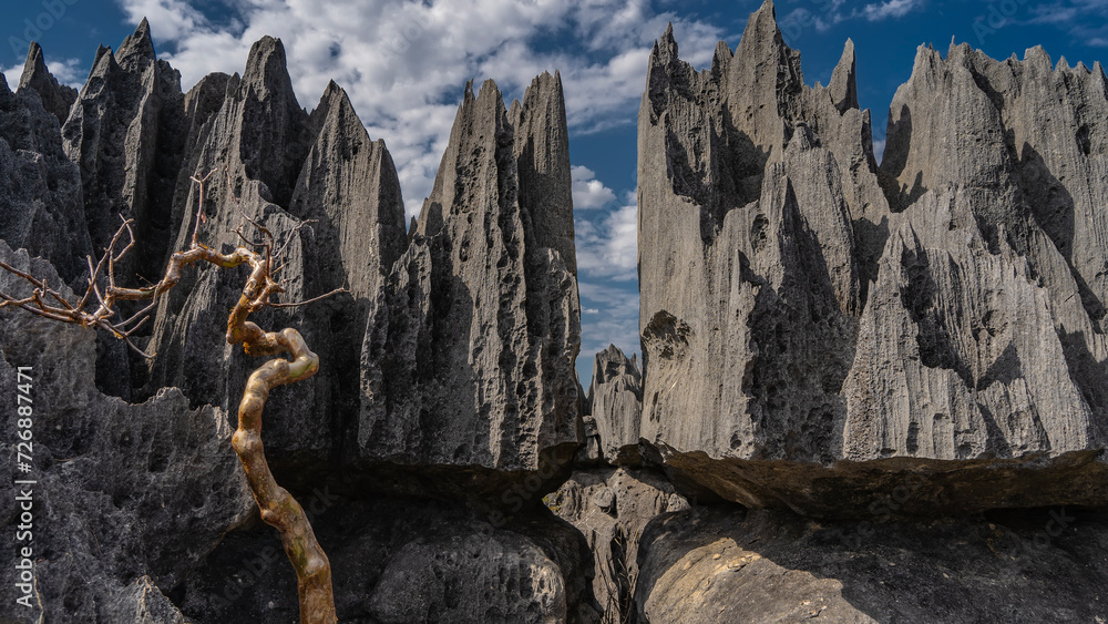The incredible landscape of Madagascar. Tsingy De Bemaraha. Grey ...