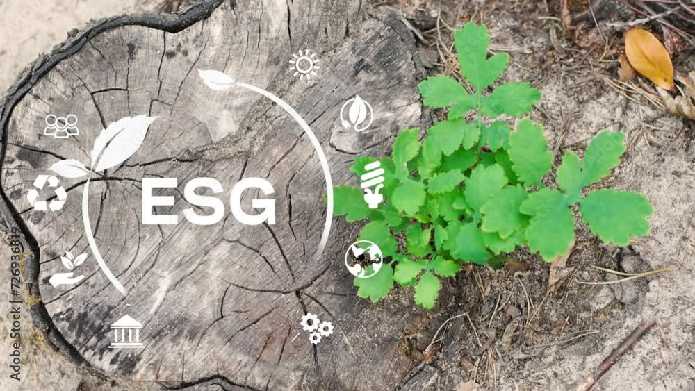 Vidéo Stock ESG concept Environmental social and governance in ...