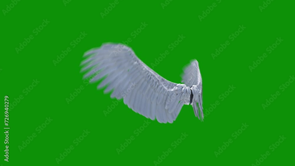 Angel wings high Resolution effects video green screen 4k, Easy ...