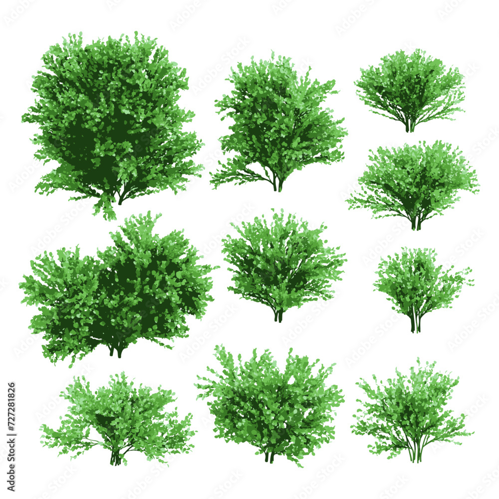 Realistic shrubs collection on white background.Set of shrubs Stock ...