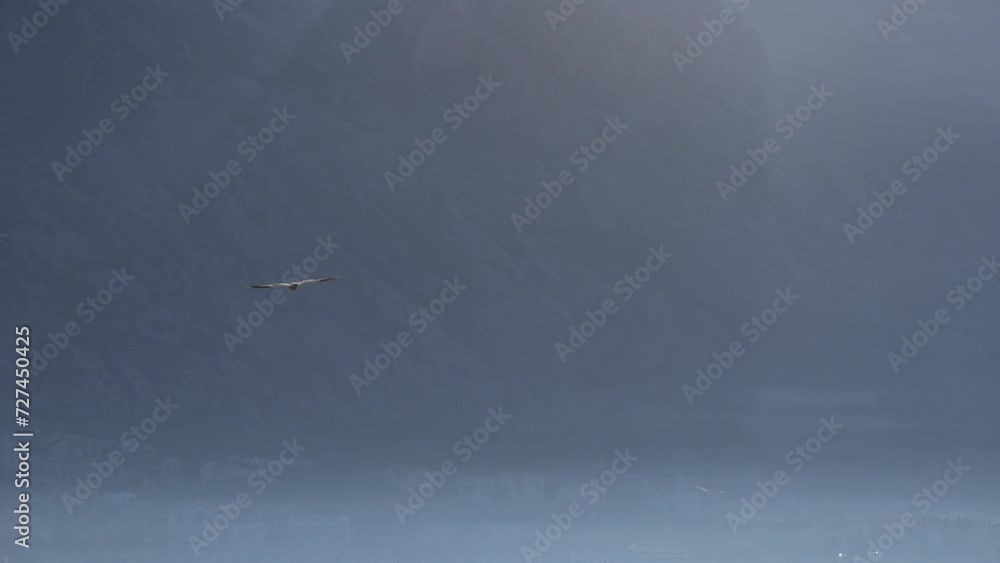 Birds in Balkan old town sunset, view historic city Montenegro, Croatia ...