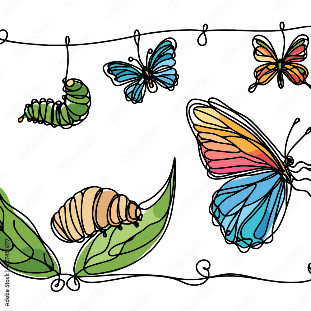 Metamorphosis from caterpillar to butterfly: pencil drawing of a new ...