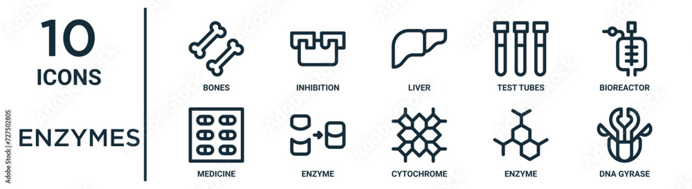 enzymes outline icon set such as thin line bones, liver, bioreactor ...