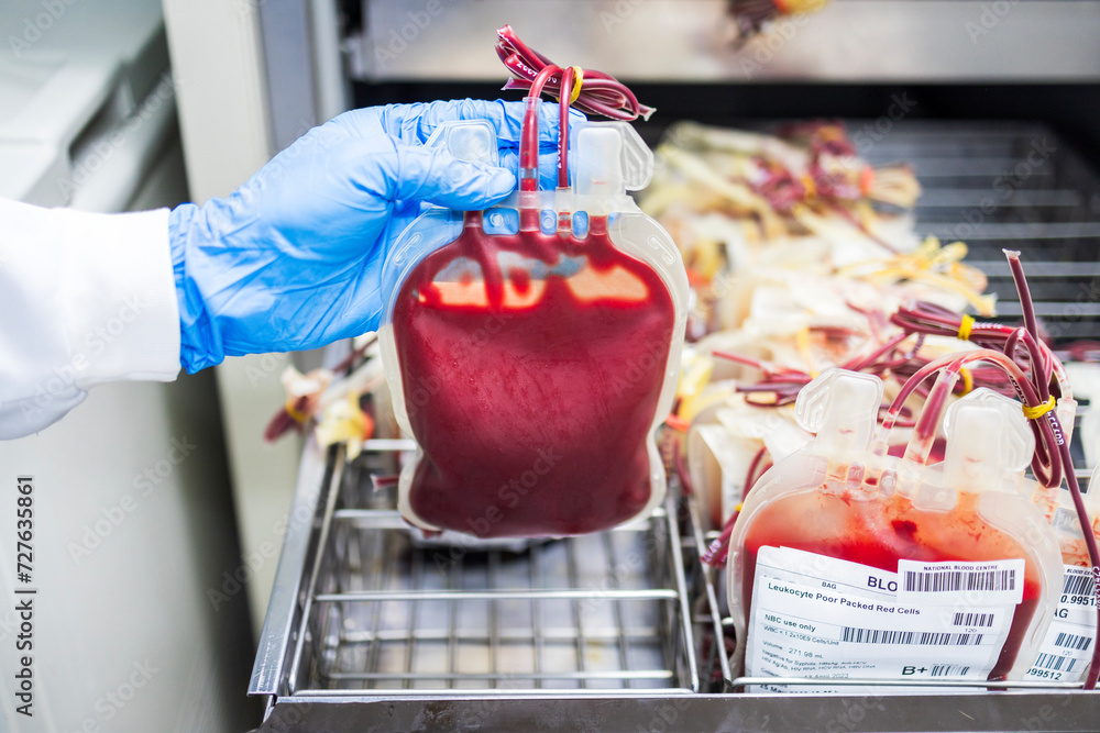 Leukocyte poor pack red cell in transfusion bag on a tray inside blood ...