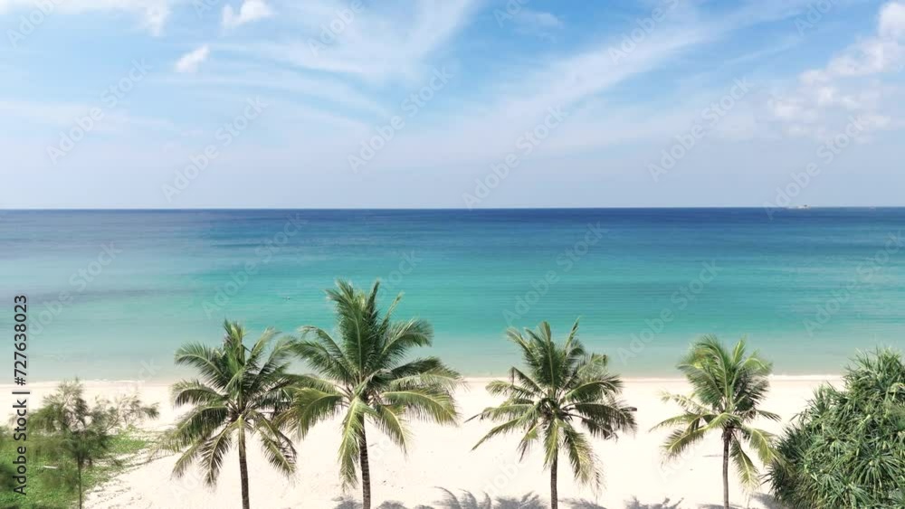 Vidéo Stock Beach with palm trees sea view ocean background. Palm beach ...