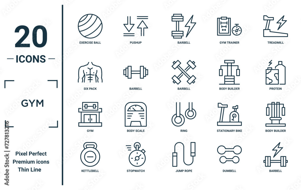 gym linear icon set. includes thin line exercise ball, six pack, gym ...