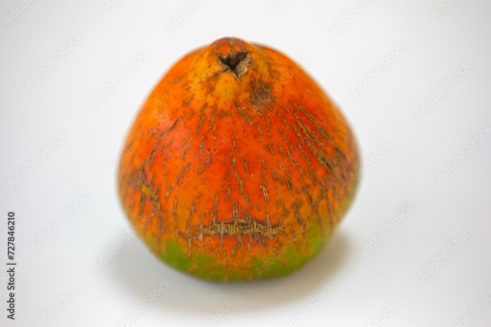 Rare and exotic fruit of the peach palm (Bactris gasipaes), typical ...