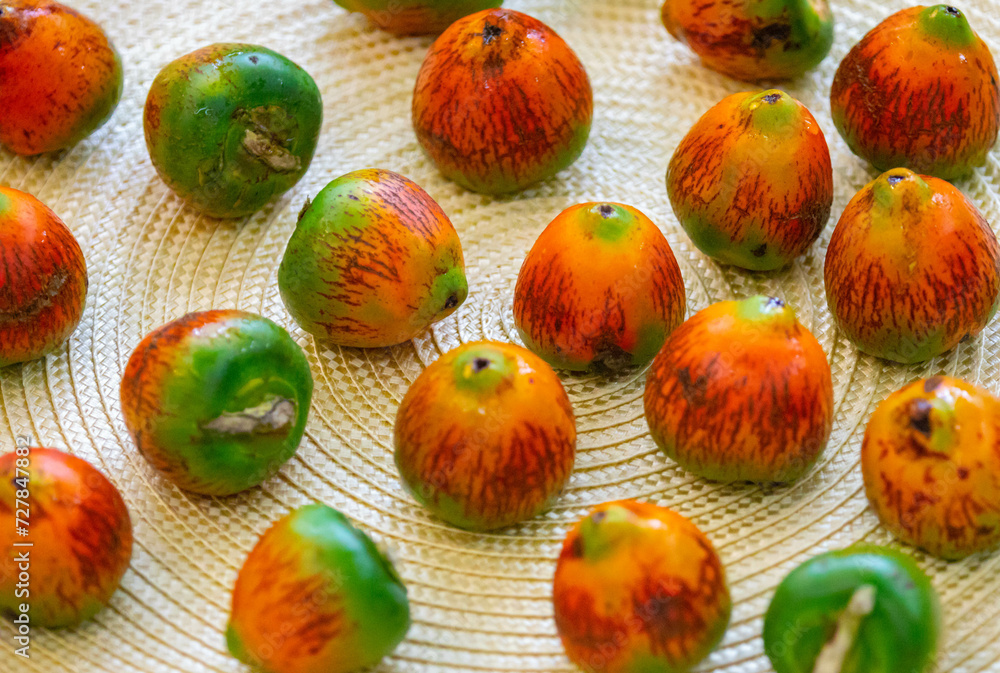 Rare and exotic fruit of the peach palm (Bactris gasipaes), typical ...