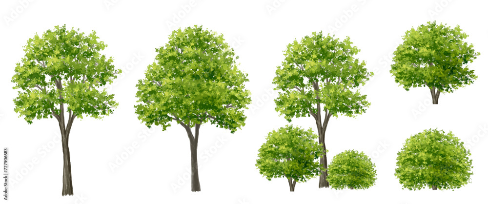 Vertor set of green tree,plants side view for landscape elevations ...