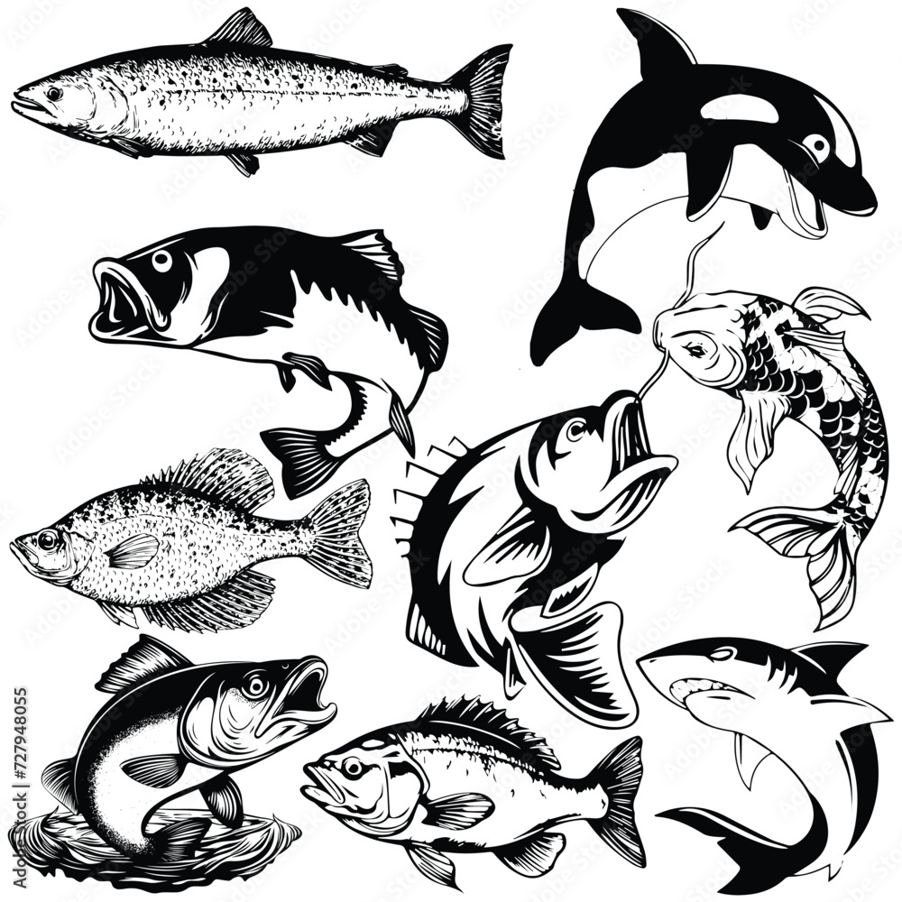 Vector fish vector art, graphics fishs icons set. vintage illustration ...