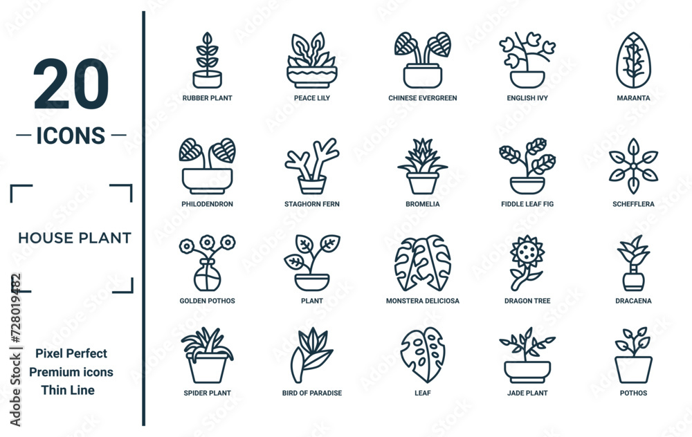 house plant linear icon set. includes thin line rubber plant ...