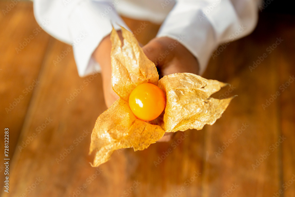 Little girl opening and eating a Capulí or Aguaymanto fruit. Stock ...