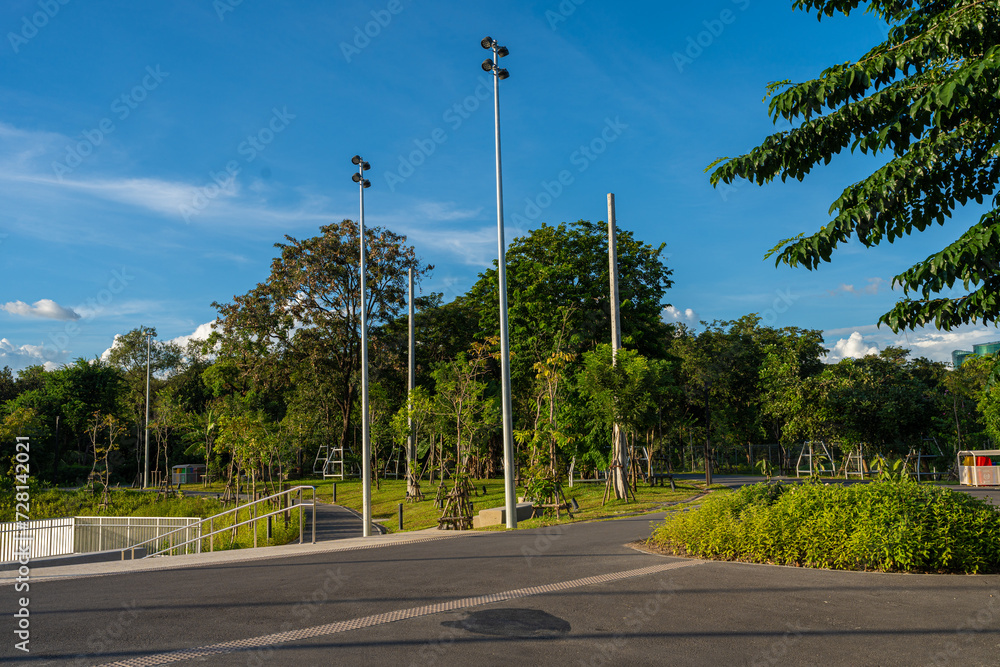 Pathway pavement asphalt road in city green tree pak with office ...