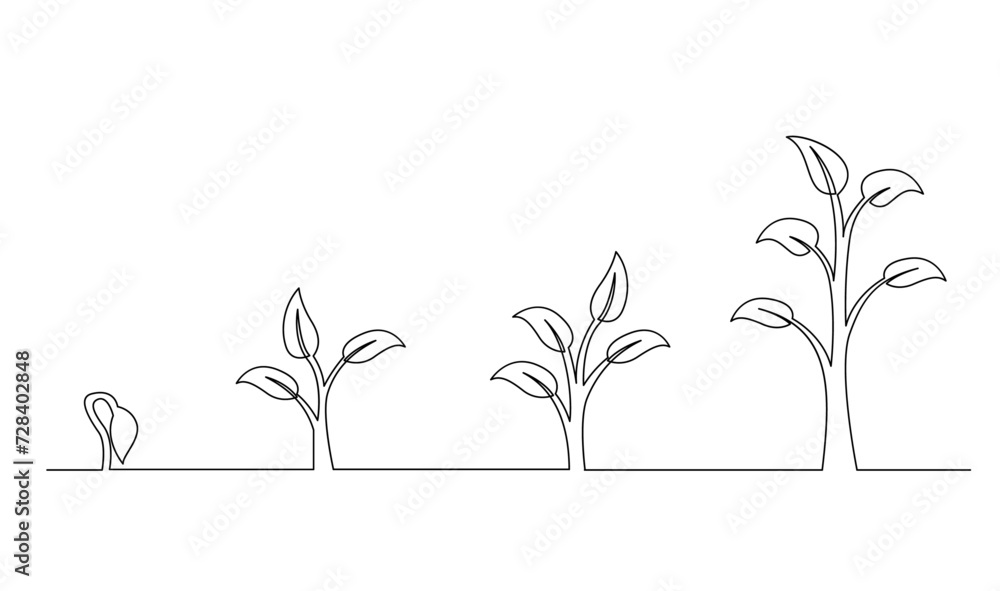 Continuous line drawing of step of tree growth. Plants grow isolated on ...