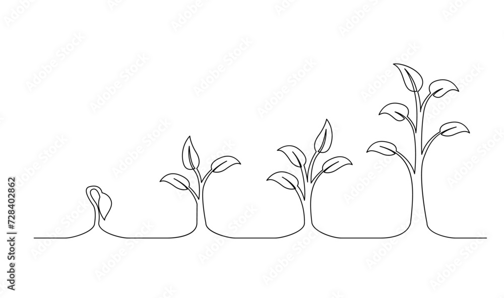 Continuous line drawing of step of tree growth. Plants grow isolated on ...