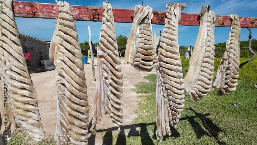 Vidéo Stock Rows of sun-dried and salted shark meat hanging outdoors ...