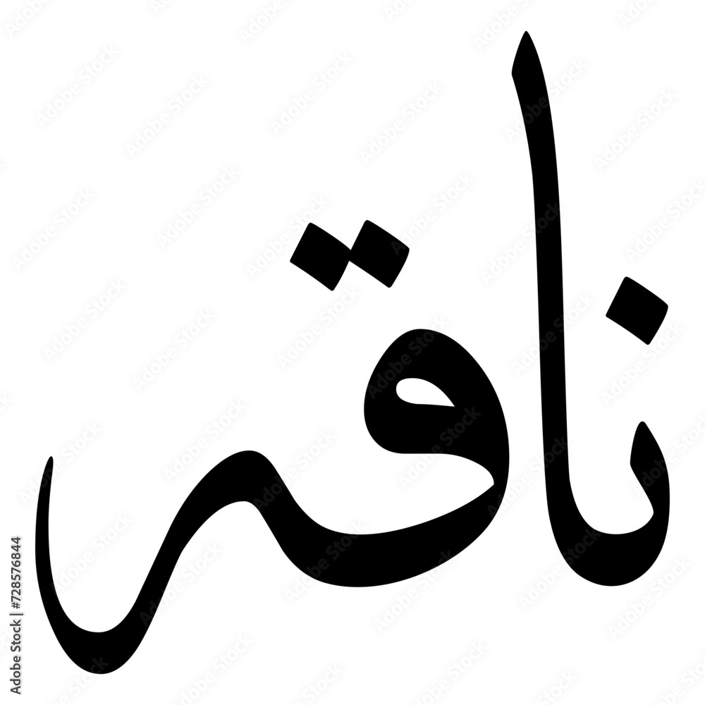 Naqa Muslim Girls Name Sulus Font Arabic Calligraphy Stock Vector ...