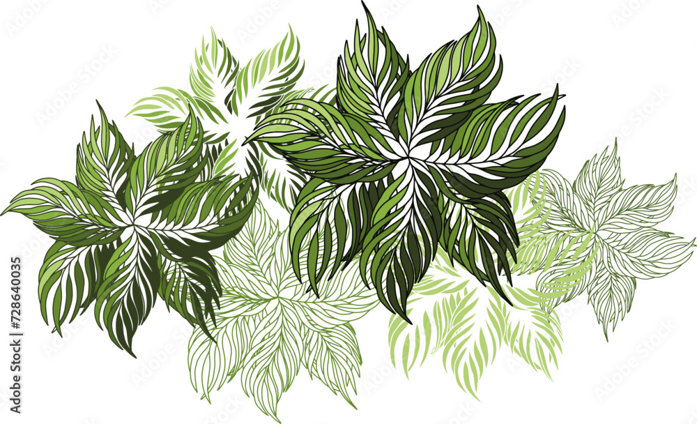 Group of trees for architectural floor plans. Entourage design. Various ...