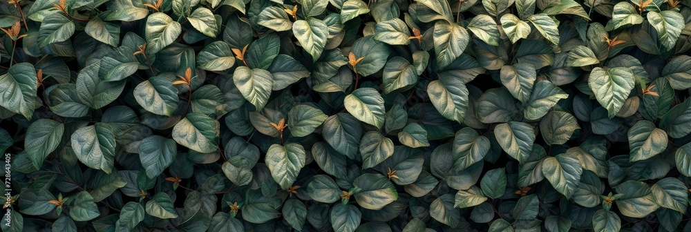 Dense Jungle Underbrush Texture, Background Image, Background For ...