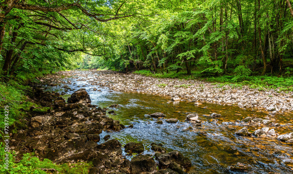 Panorama of idyllic valley of river Reka in Slovenia with lush ...