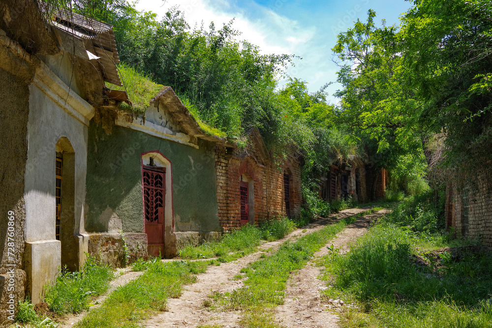 Sălacea wine cellars in Bihor County, Romania, Europe. In the village ...