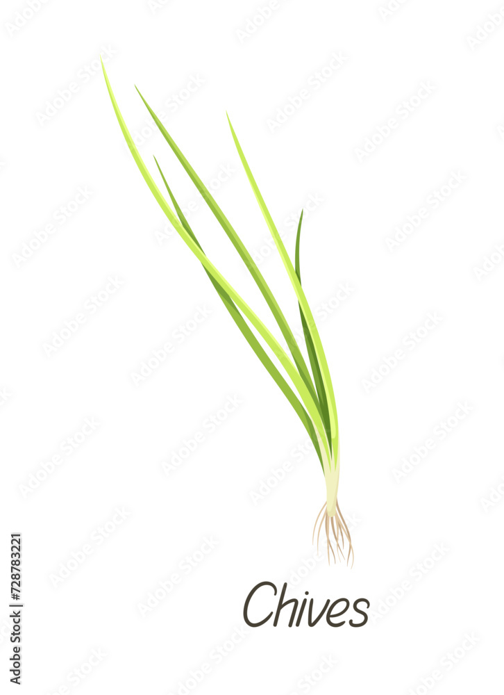 Herbal leaves concept. Botanical infographics and educational materials ...