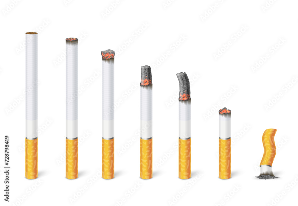Cigarette burn stages. Tobacco burning process from new cigarette to ...