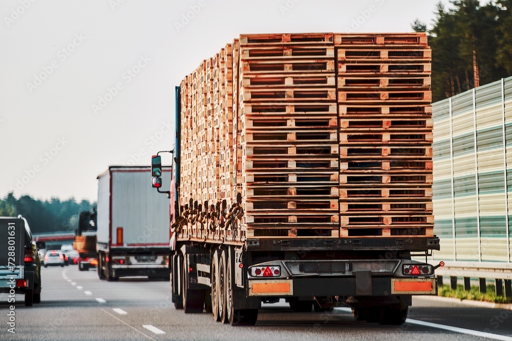 Side view of the Truck transporting a European pallet load on the ...