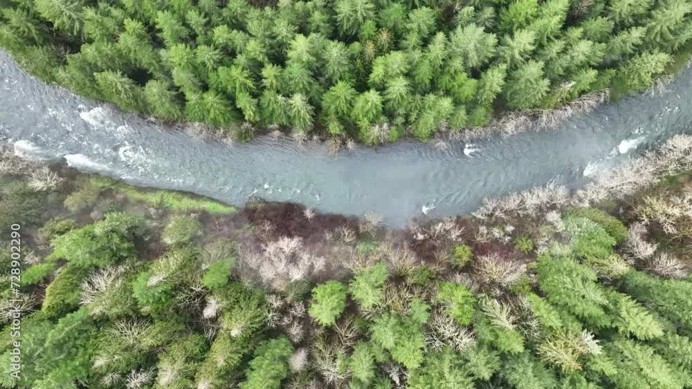 Surrounded by healthy mixed forest, the Molalla River flows through ...
