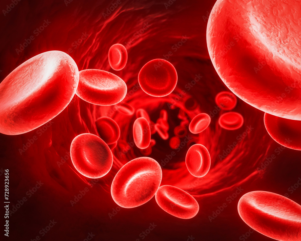 Red blood cells, blood vessels, vessel wall, platelets, white blood ...