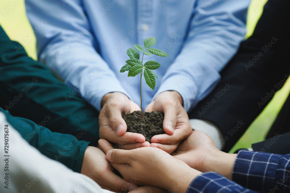 Businesses and community together planting trees for environment ...