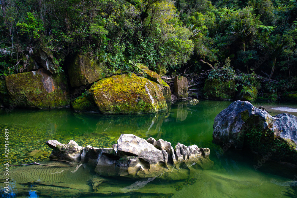 panorama of paparoa national park on west coast of new zealand south ...