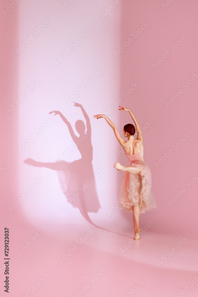 Ethereal Ballet. Classic ballerina dances barefoot in pink traditional ...