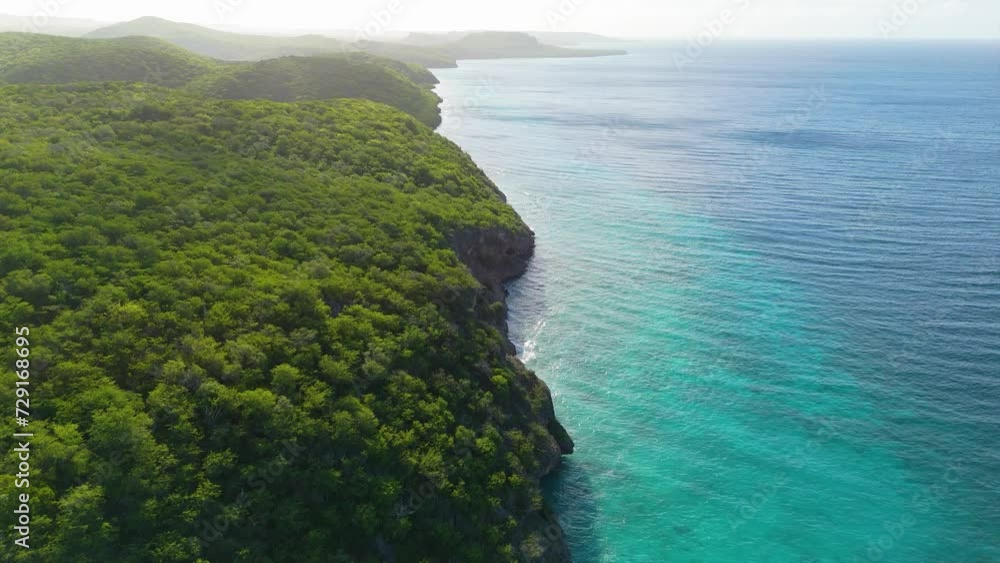 Vidéo Stock Lush green tropical cliffs spill into sandy coral reefs and ...