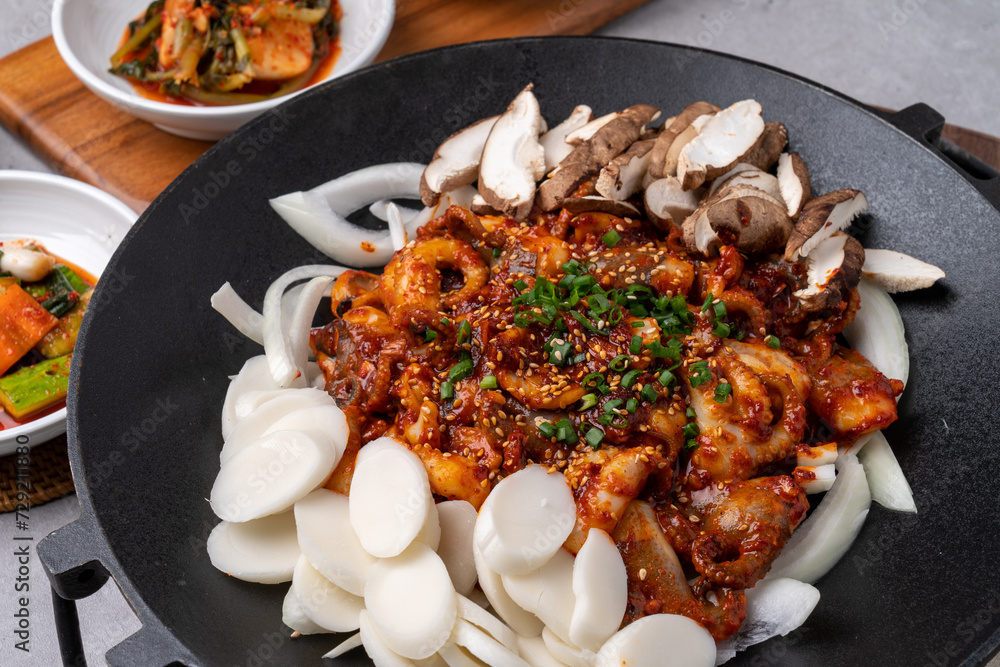 Korean food, stir-fried chicken, stir-fried chicken, webfoot octopus ...
