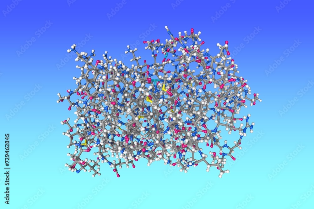 Human sonic hedgehog. Molecular model. Atoms are shown as spheres with ...