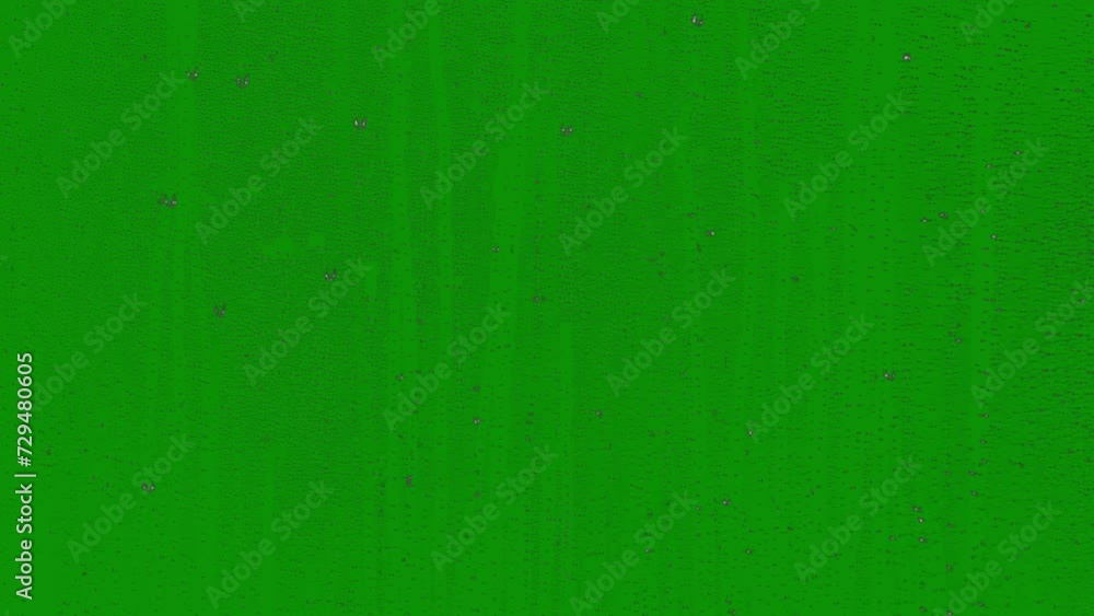 Realistic rain on Window high Resolution green screen 4k, Easy editable ...